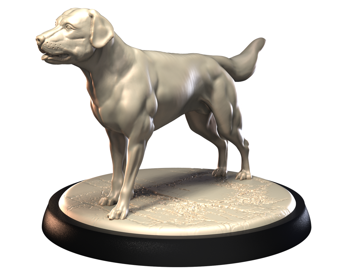 Labrador Resin 3D Print – Hobby Hive